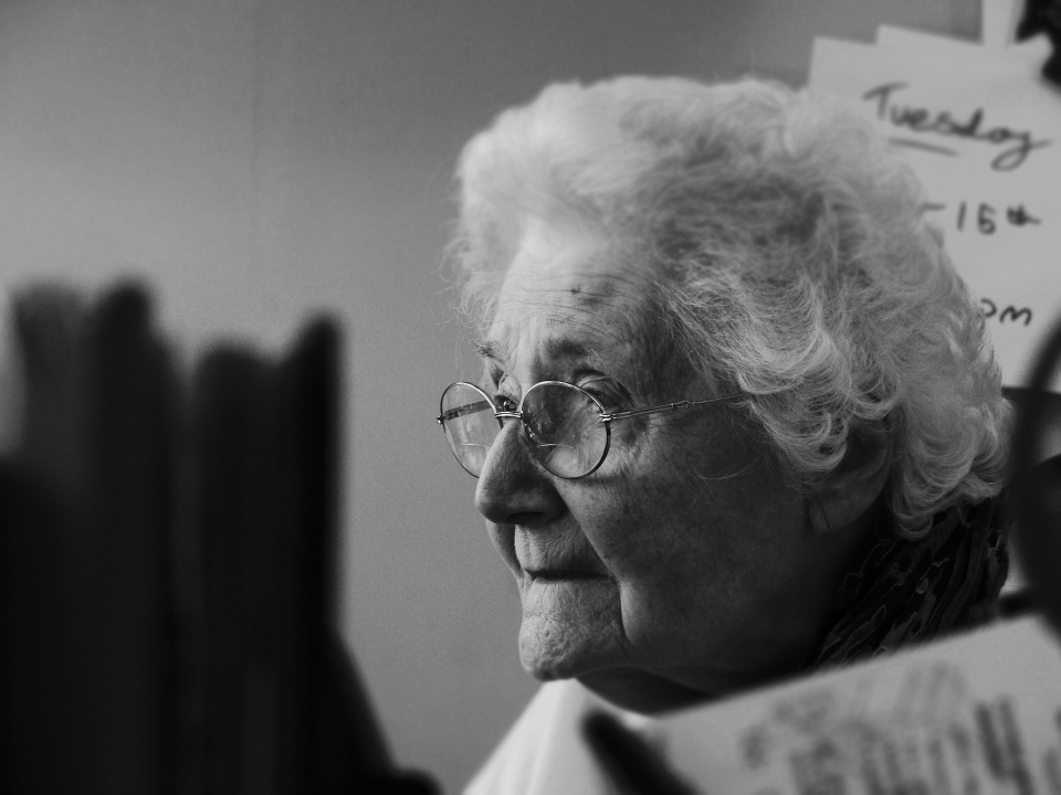 Dawning realisation | spishy | Blipfoto