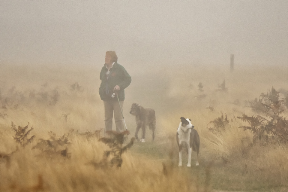 Annie and her dogs on a Foggy Friday. | SueL7 | Blipfoto