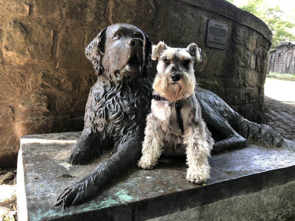Archie meets a famous dog | LadyMarchmont | Blipfoto
