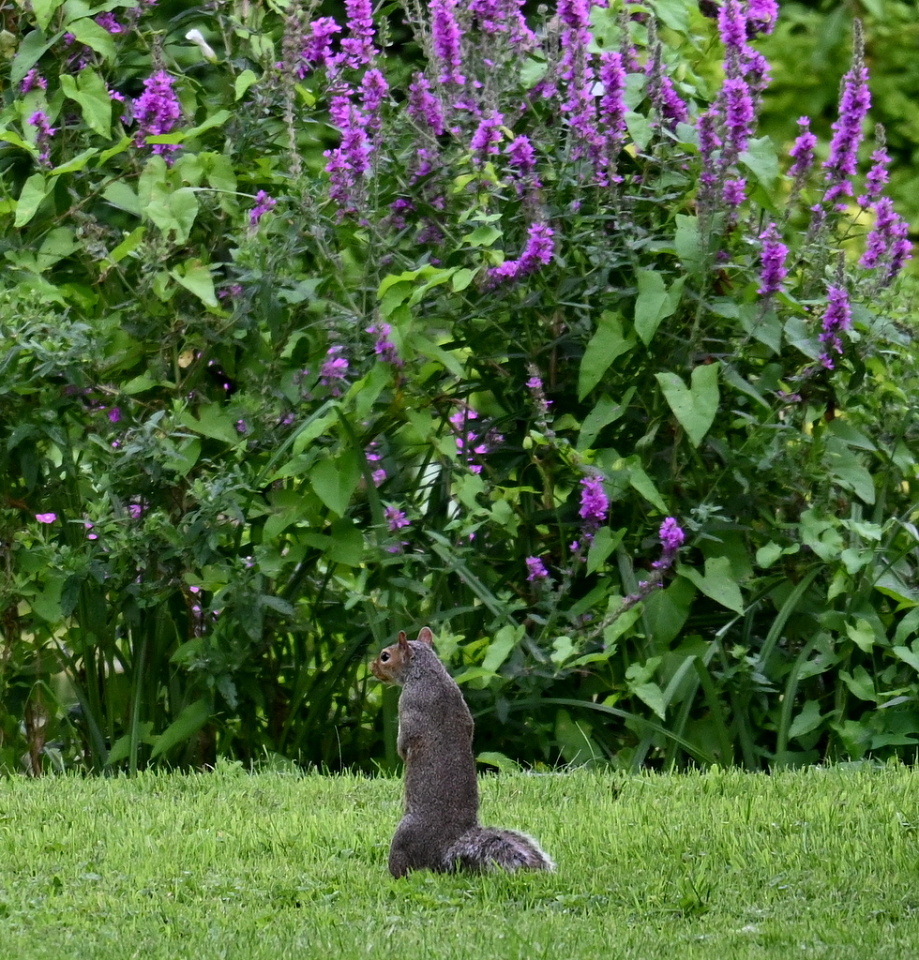 I'll have to book... | chrisA | Blipfoto