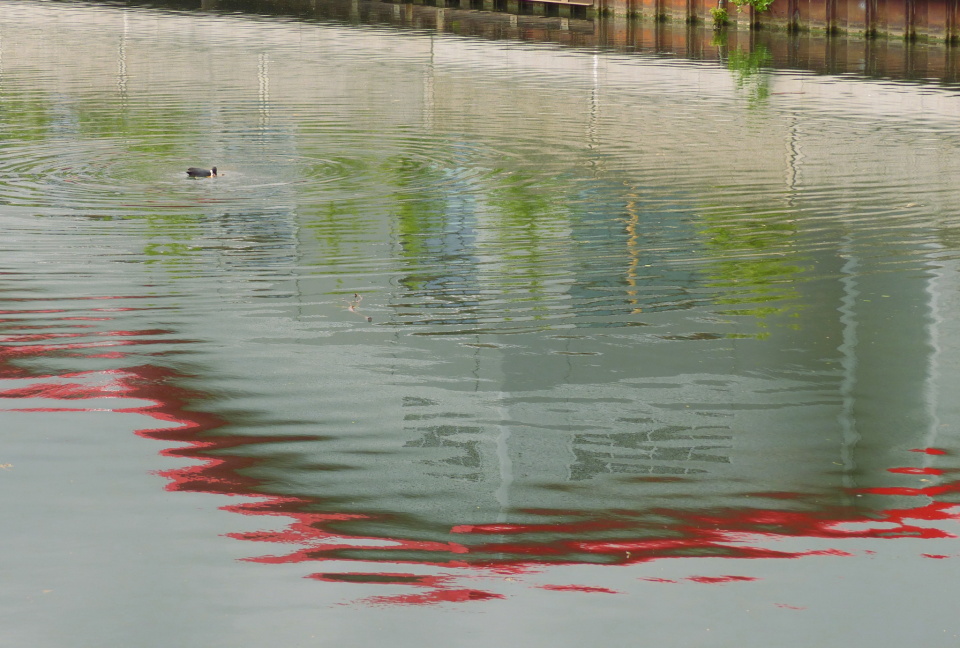 Wind on water | jophreeves | Blipfoto