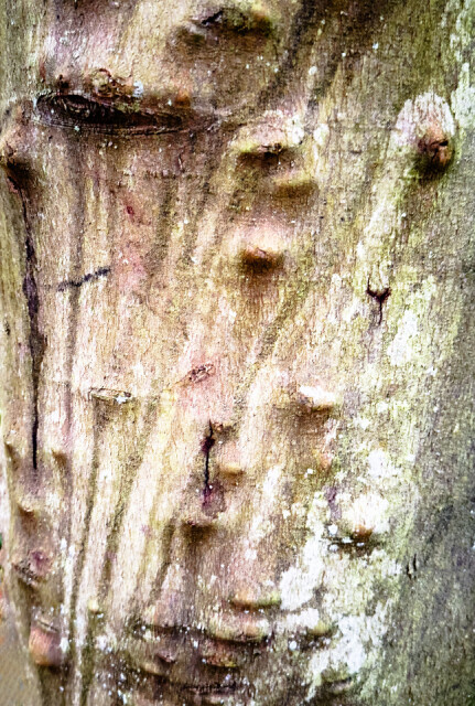 Abstract Thursday - Texture | stujphoto | Blipfoto