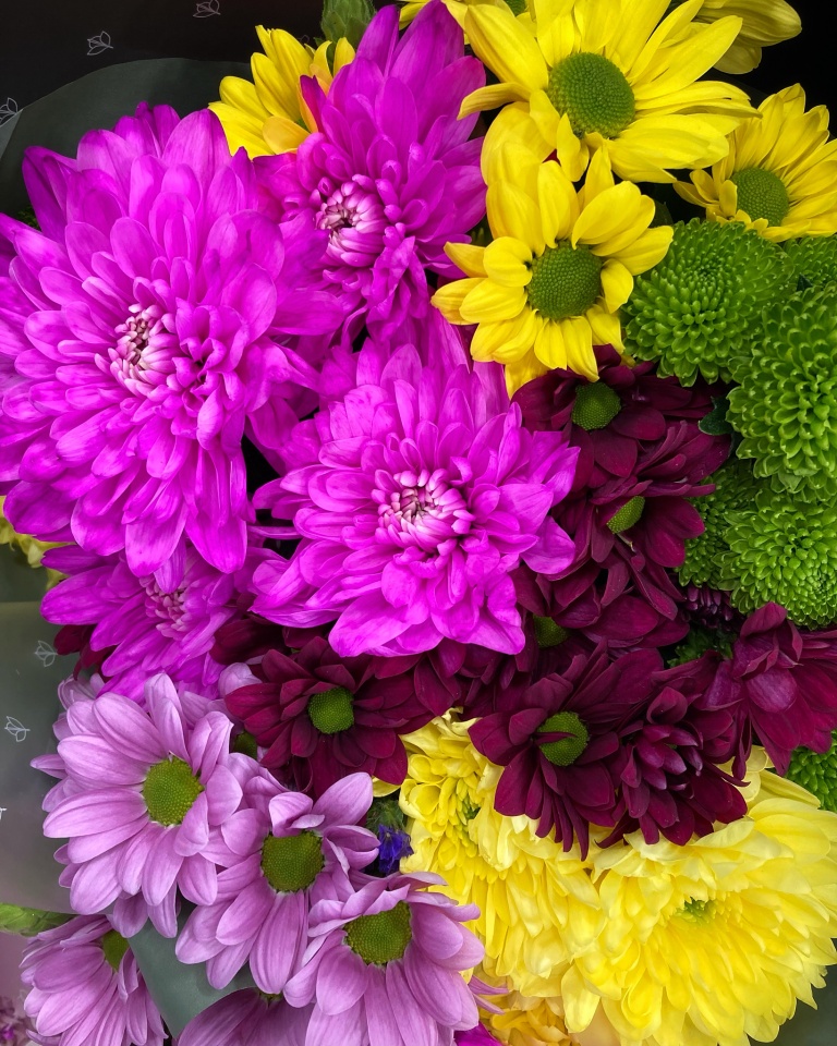Flower Friday - Colourful Chrysanths | RadioGirl | Blipfoto