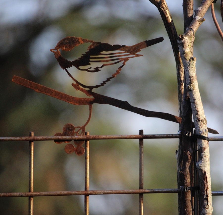 Tiny Chickadee | loisbiz | Blipfoto