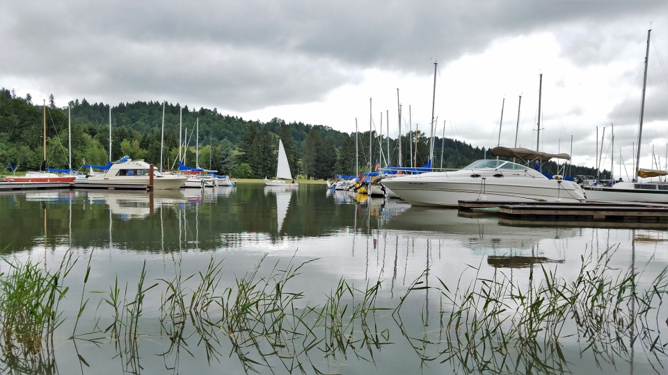 Fern Ridge Reservoir Marina | RonaldBerry | Blipfoto