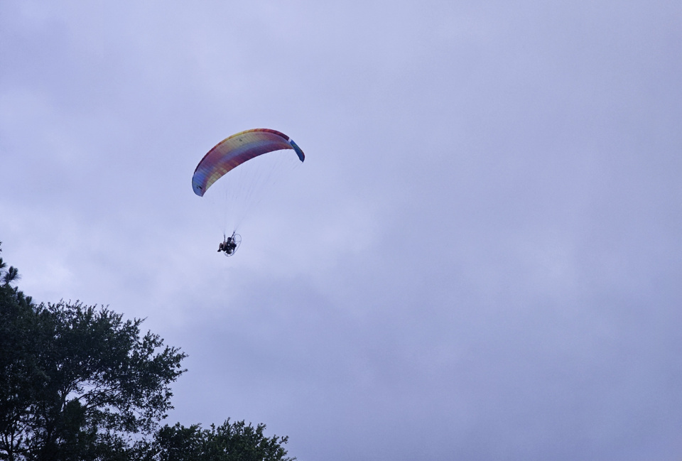 Gliding | bugsman | Blipfoto