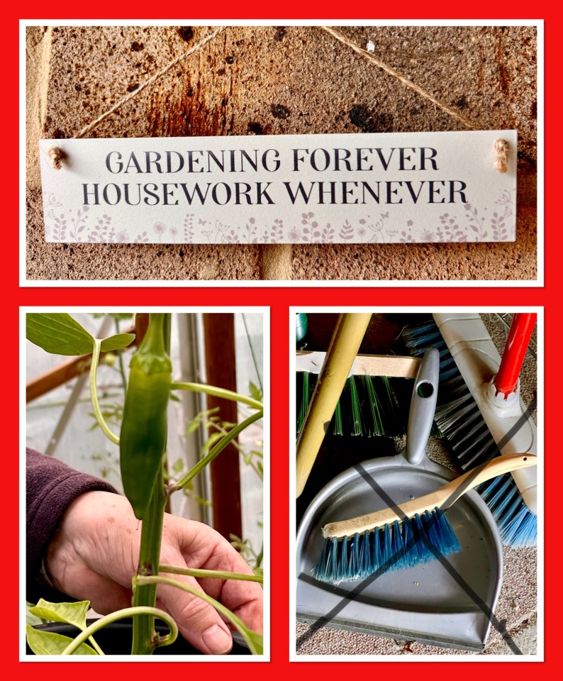 TINY TUESDAY - A SAYING | Honeycombebeach | Blipfoto