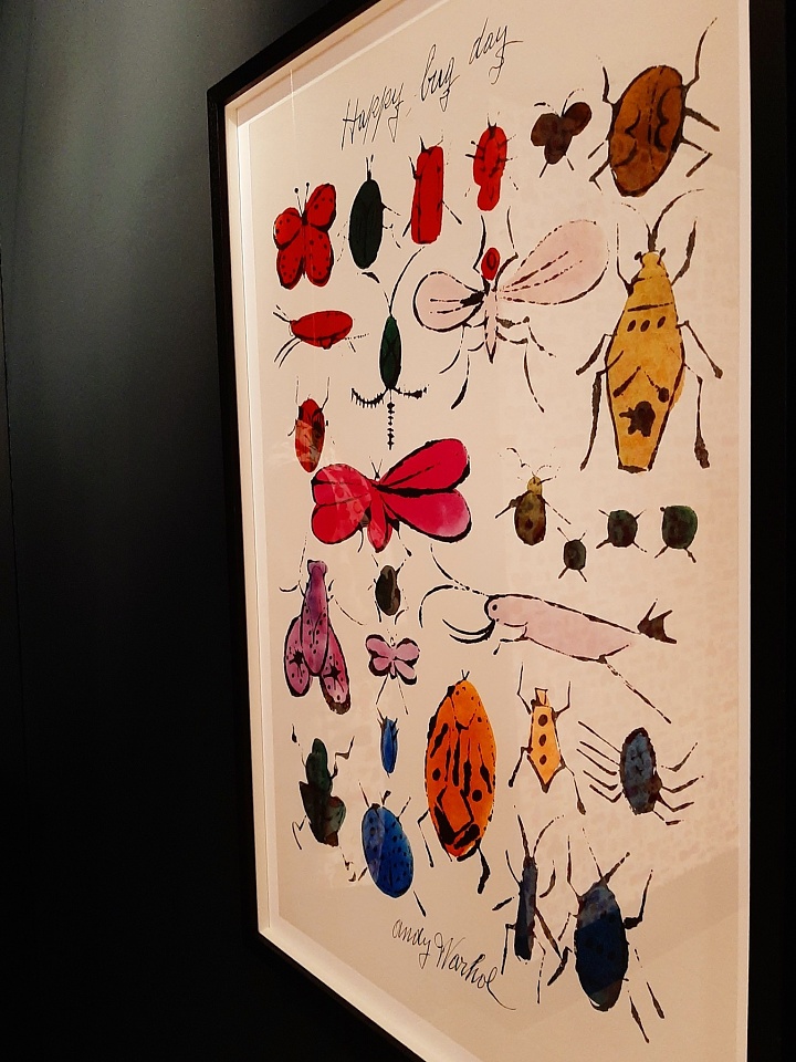 Happy Bug Day | Zoemond | Blipfoto