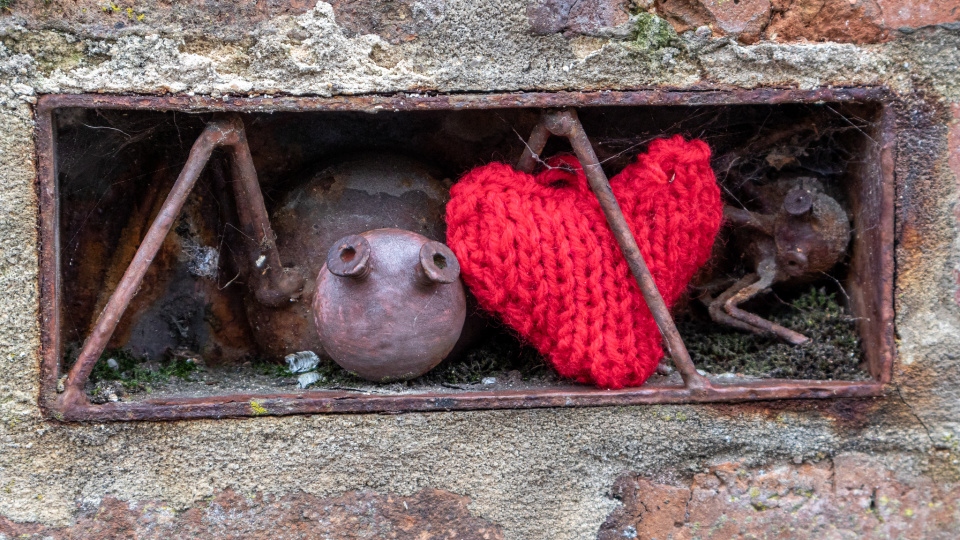 Spider with a Heart | steveng | Blipfoto