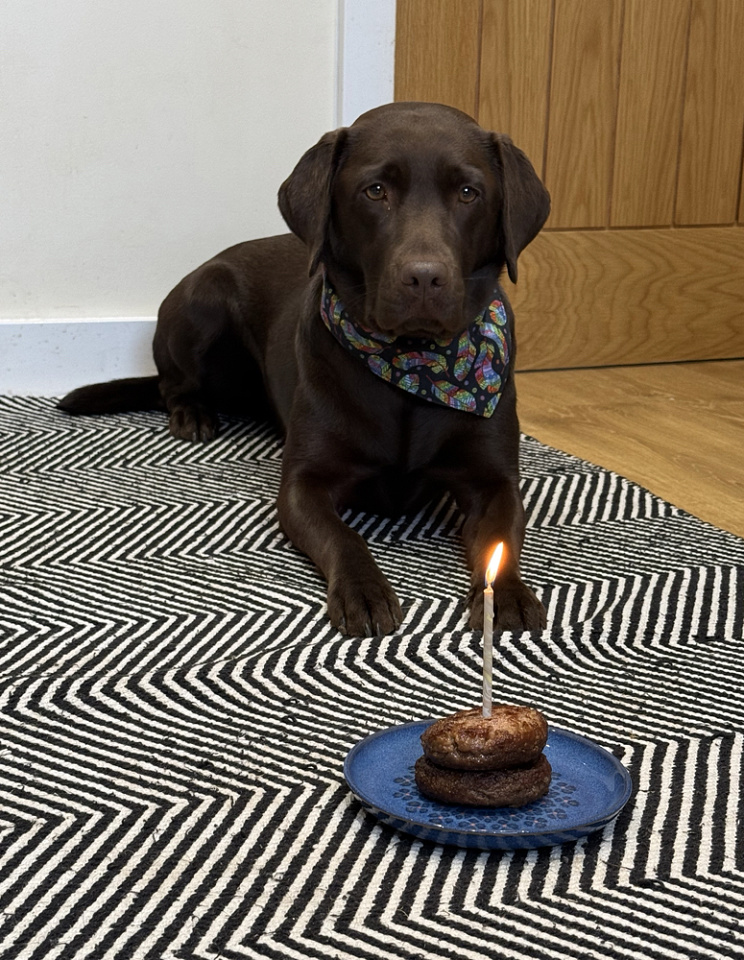 Birthday Girl | Romay | Blipfoto