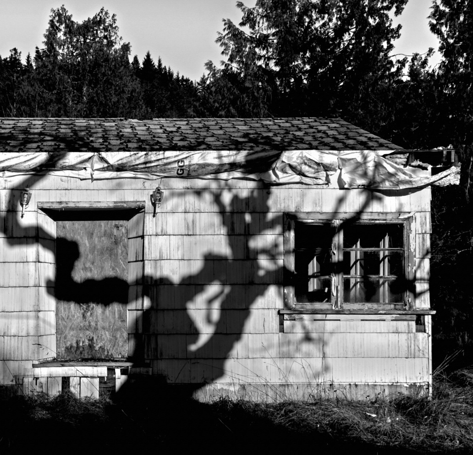 Creeping shadows | Nanzy19 | Blipfoto