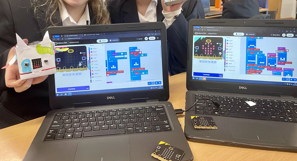 Micro:bit pets | JJ46 | Blipfoto
