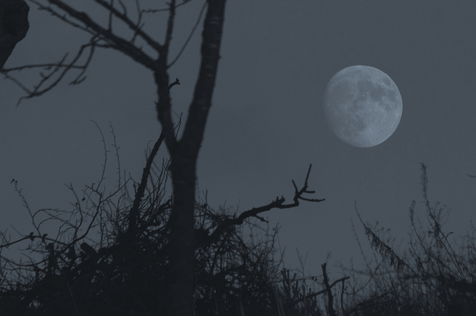 Low Moon | craigL | Blipfoto