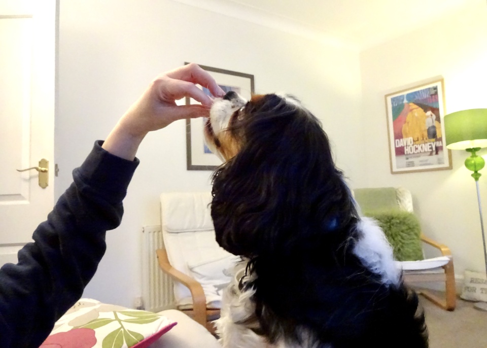 At home | Emsie | Blipfoto