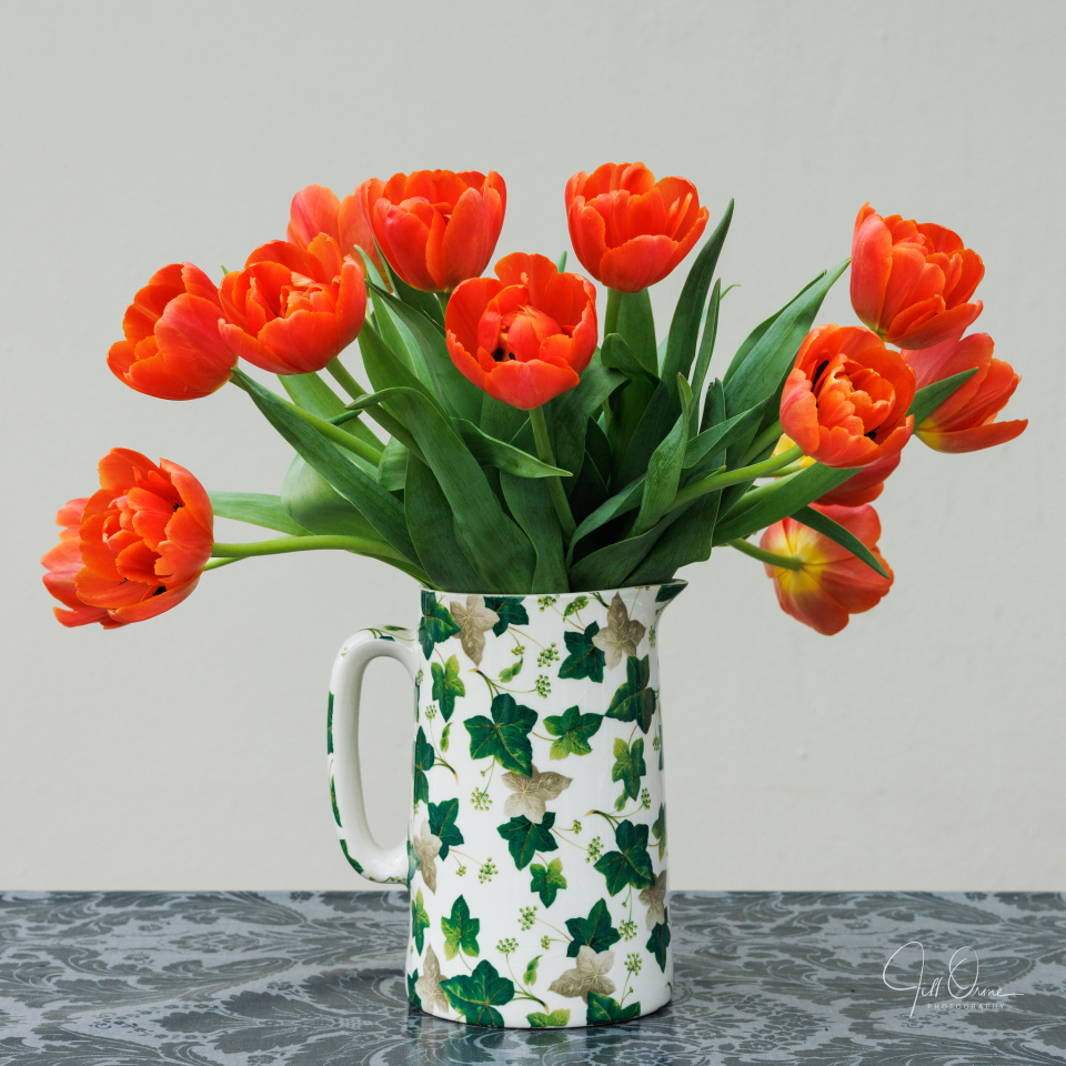 Slovenly | JDO | Blipfoto