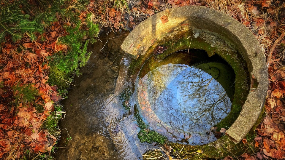 Hidden Spring | madowoi | Blipfoto