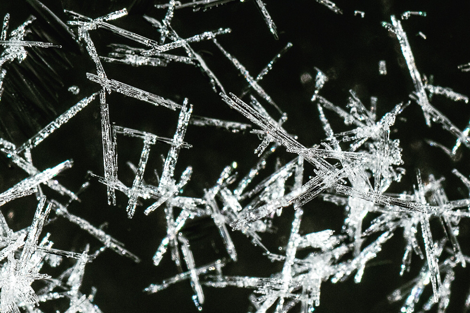 Column needle snowflakes | MarkManning | Blipfoto