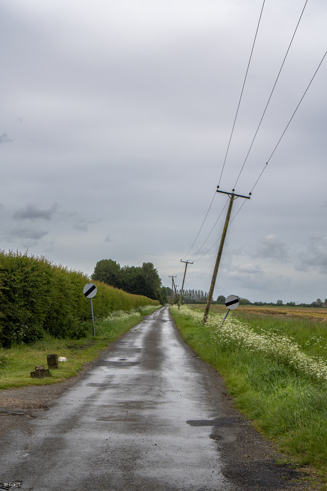 Fenland Droves | Nick_T | Blipfoto