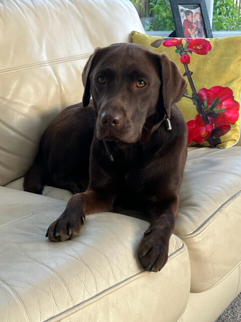 Caught | Romay | Blipfoto