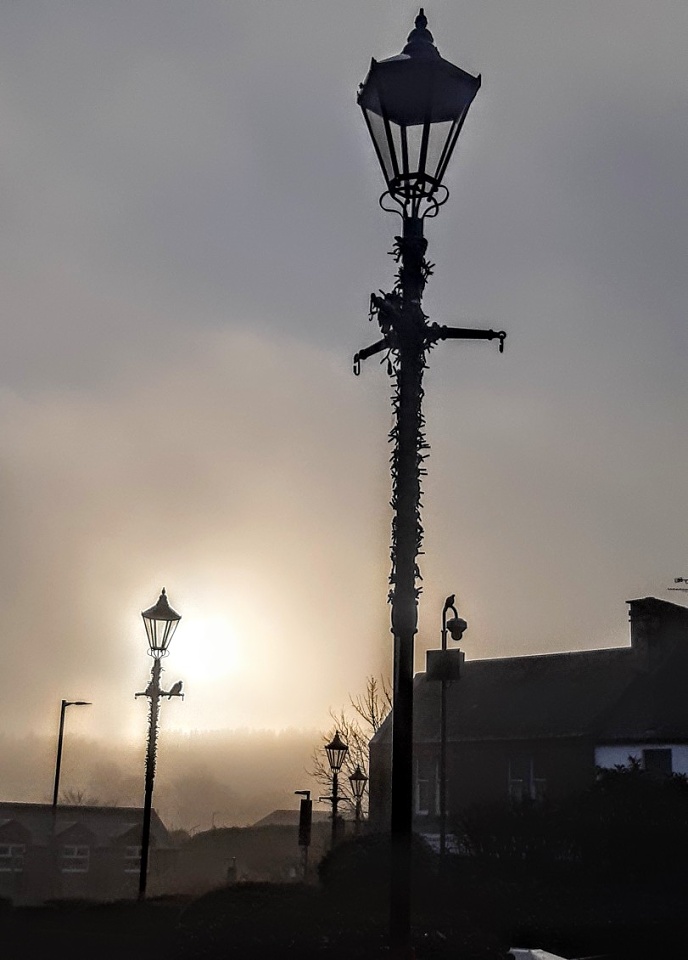Narnia | Alan_Rodger | Blipfoto