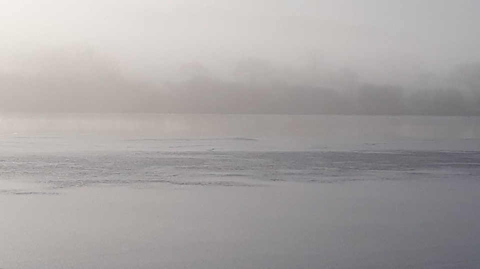 One Misty Moisty Morning.... | bevhumphrey | Blipfoto