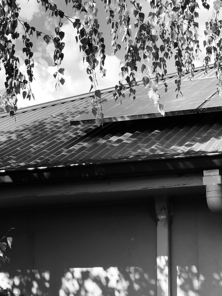 Mono Monday shadows | 59 | Blipfoto