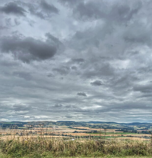 Gold and grey... | Damnonii | Blipfoto