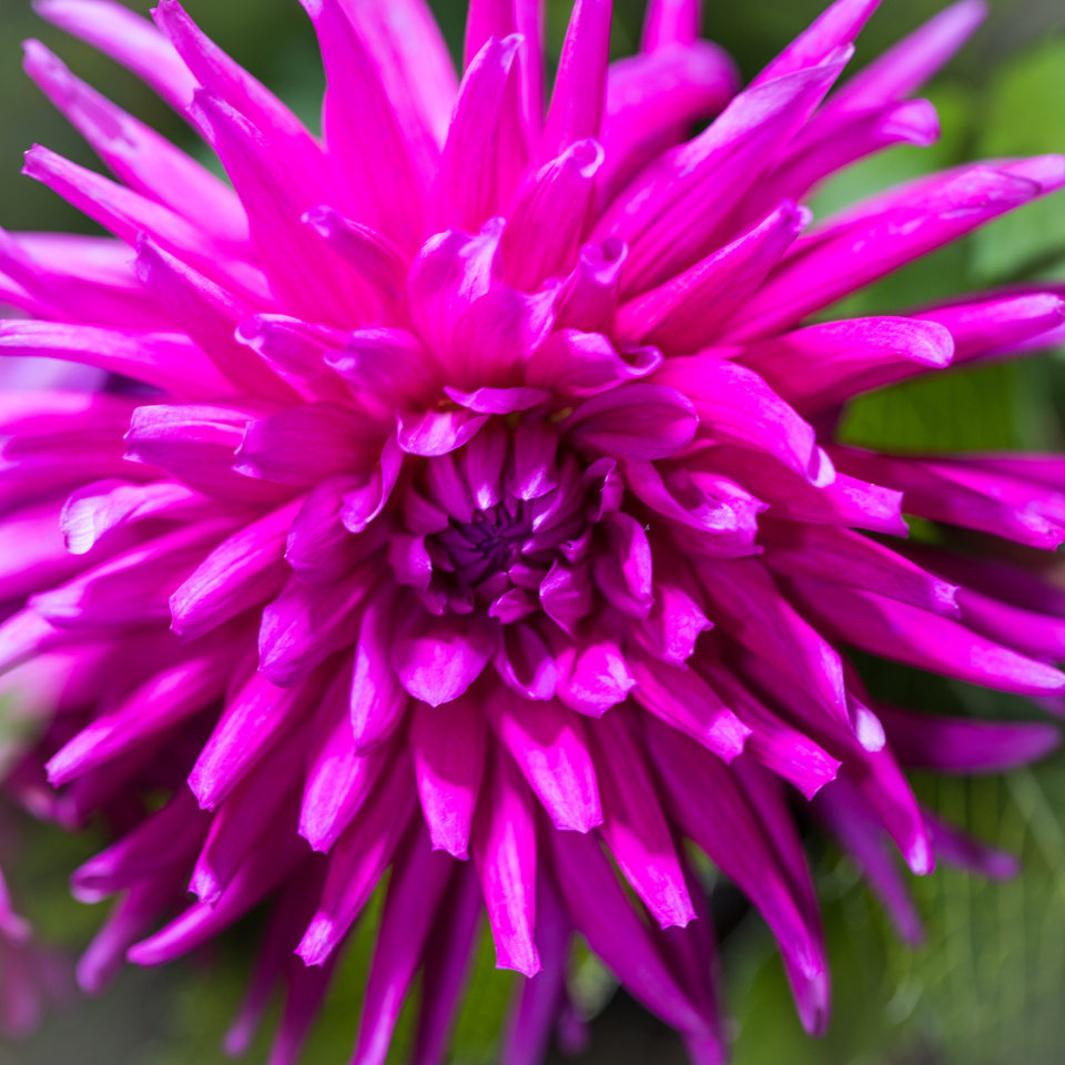 Blipping in the dark | NewburyJames | Blipfoto