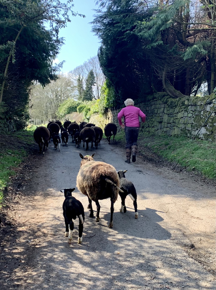 Off to pastures new | Munroist4113 | Blipfoto