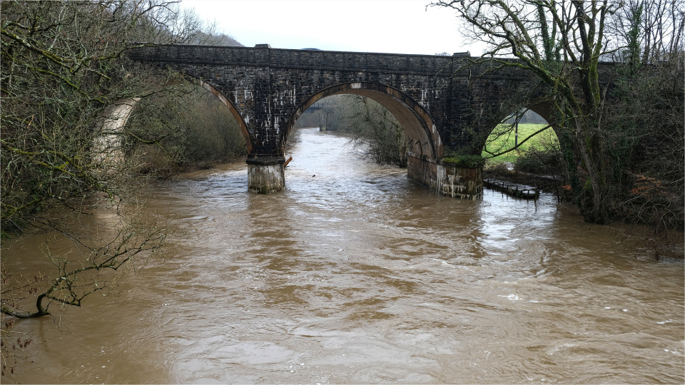 River Torridge | Terrifo | Blipfoto