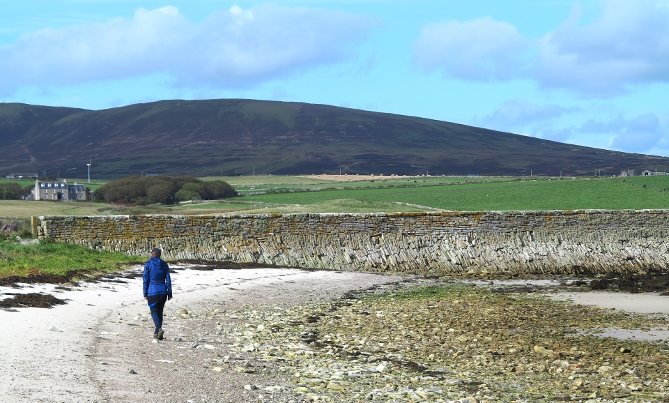 The Shell Seeker | IainatCreel | Blipfoto