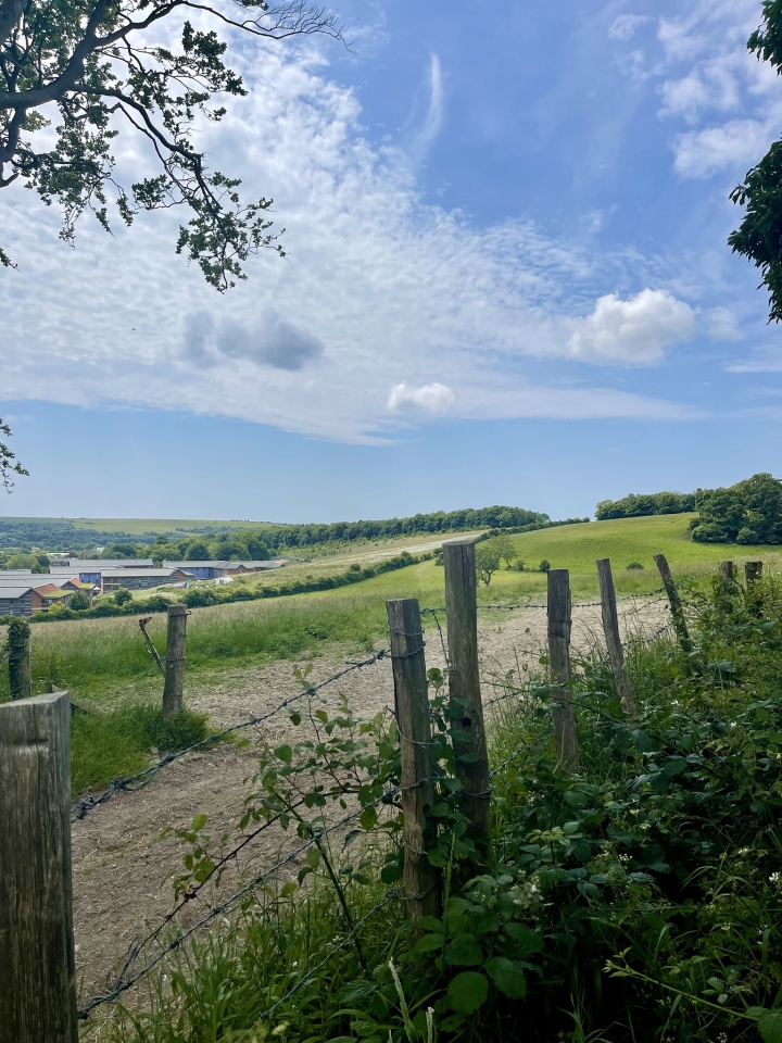 Almost summer | bivbov | Blipfoto