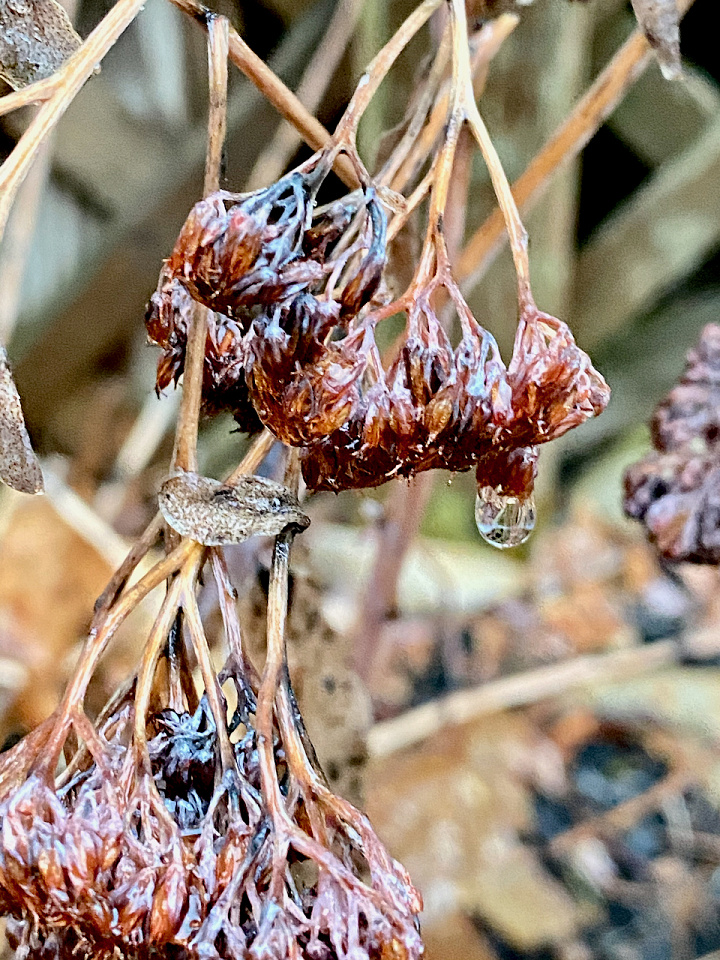 Waterlogged | Doingok | Blipfoto