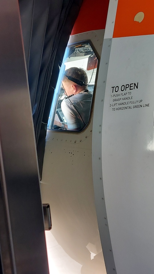 Youngsters! | snapper | Blipfoto