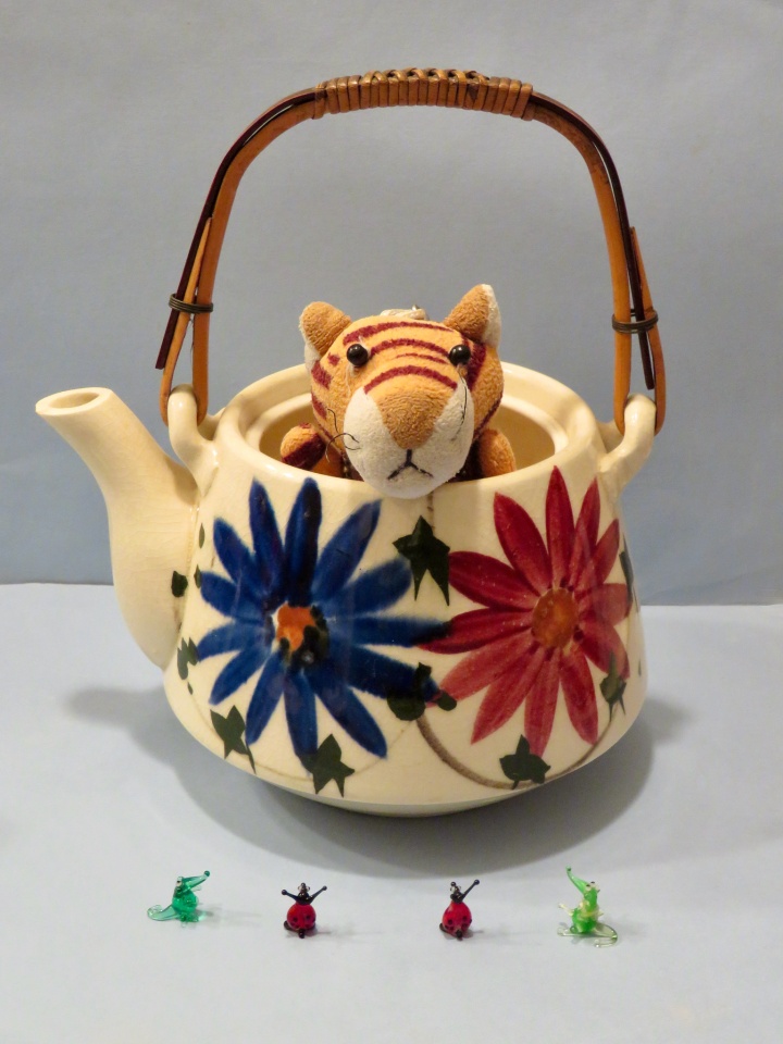 Tornado - Tiger - Teapot! | GirlWithACamera | Blipfoto