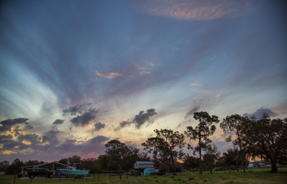 Beautiful Morning | bugsman | Blipfoto