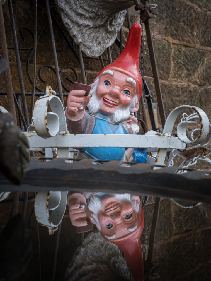 happy chappy | fotoday | Blipfoto