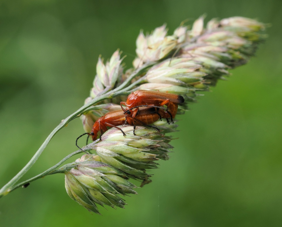 Let’s do it | Technophobe | Blipfoto