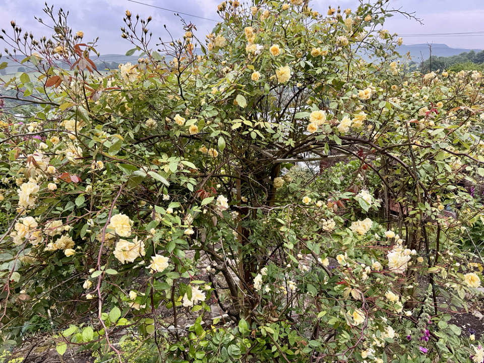 Home again | Munroist4113 | Blipfoto