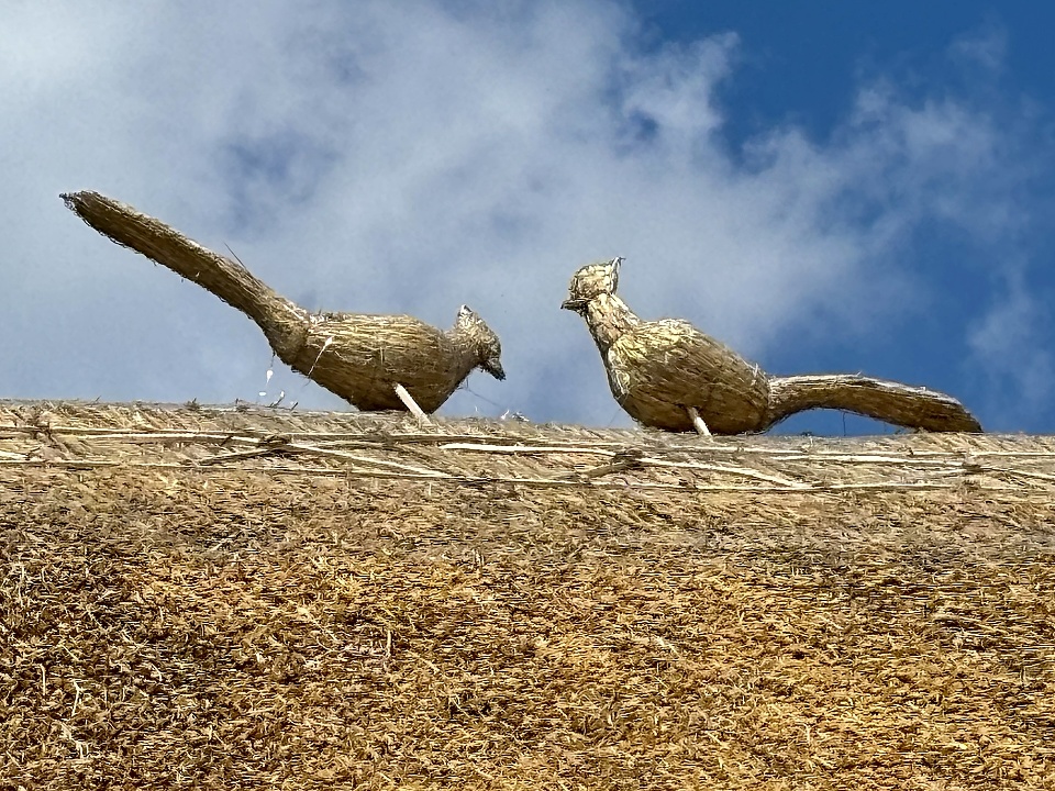 Two Birds on a Roof | Hyperion | Blipfoto