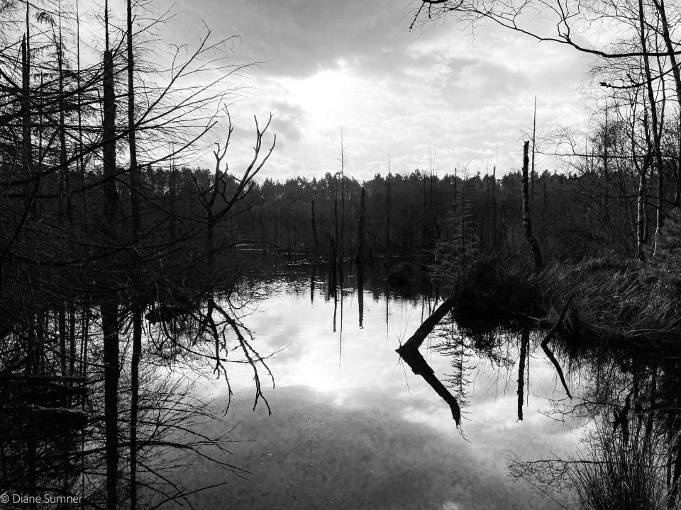 Mono Monday - Lake Placid | kwdiane | Blipfoto