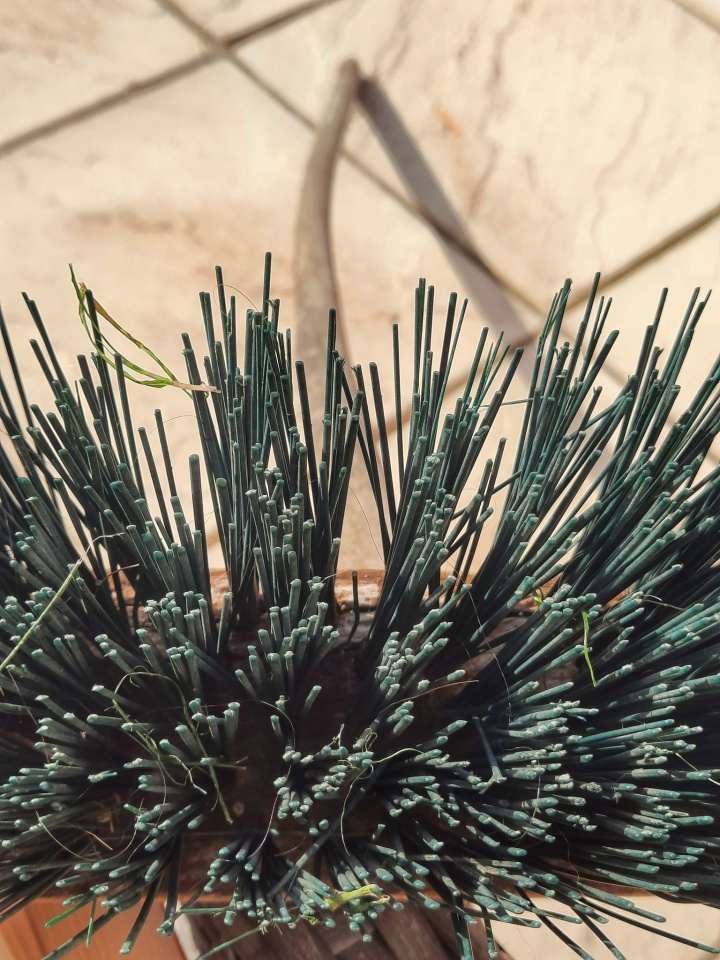 Abstract Thursday...Viewpoint | evolybab | Blipfoto