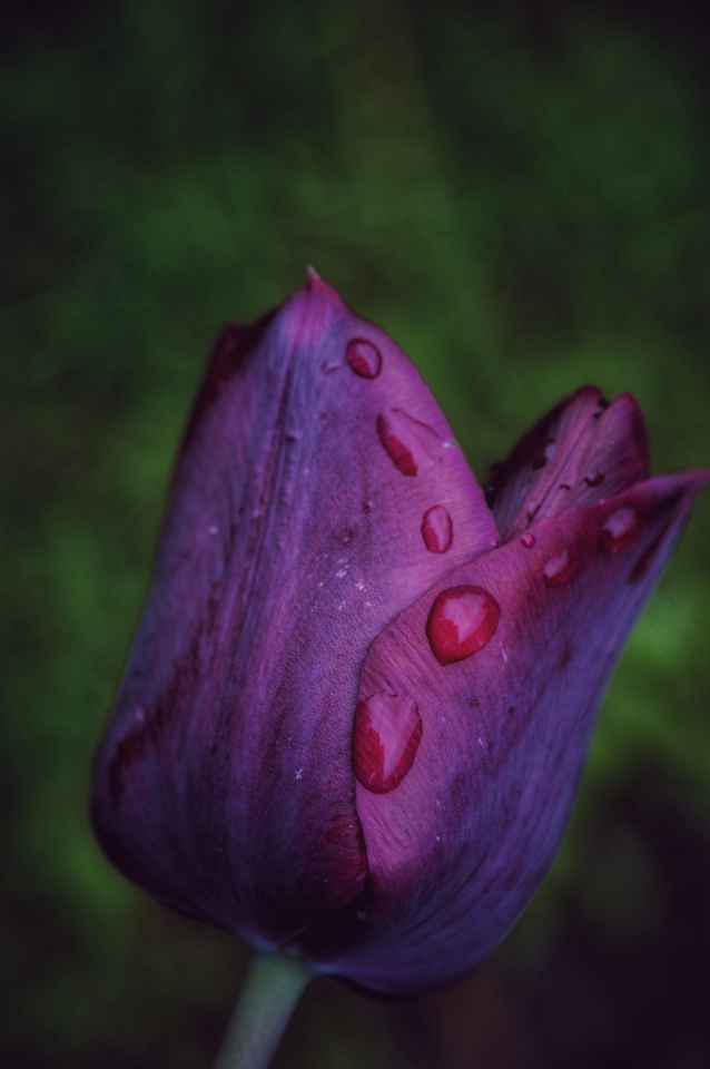 Before the next deluge | Ingeborg | Blipfoto