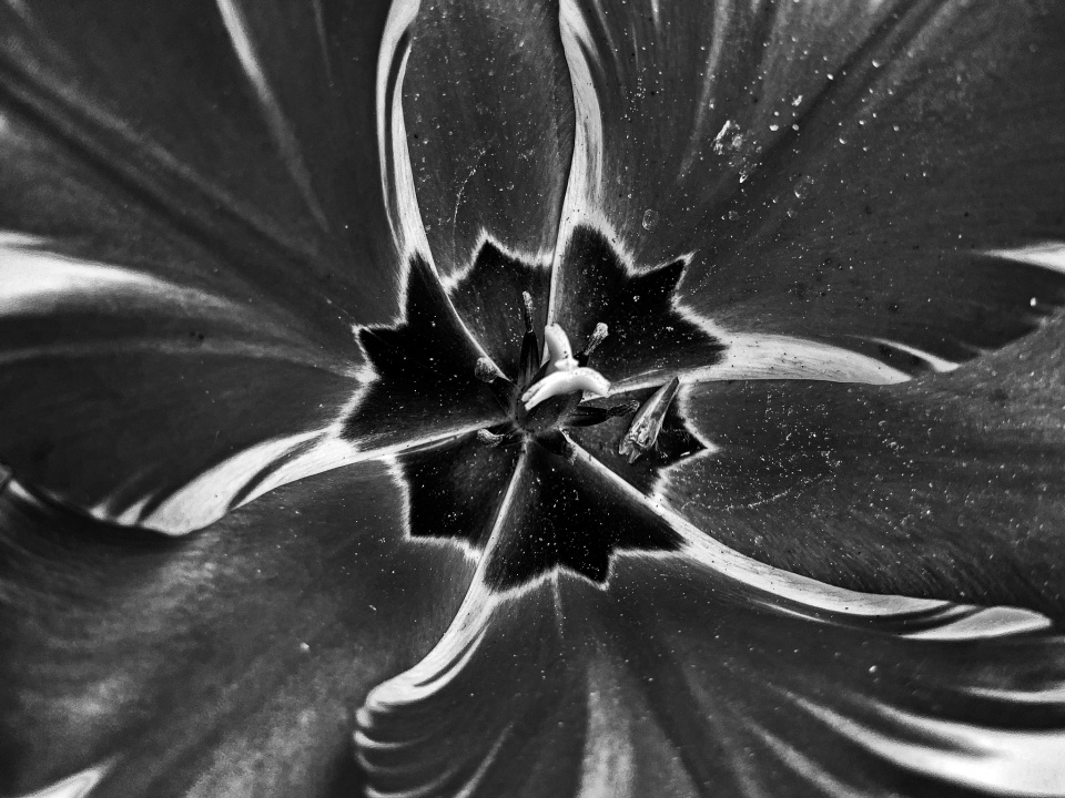 B&W abstract | Ingeborg | Blipfoto
