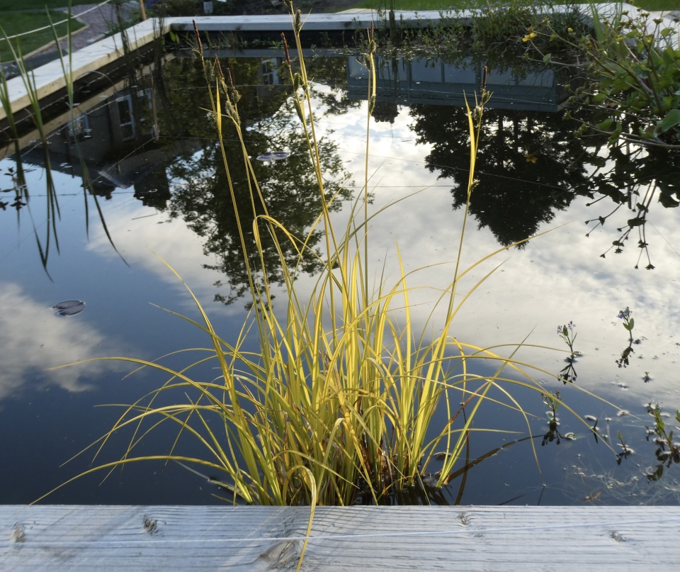 Reflections | CherryR | Blipfoto