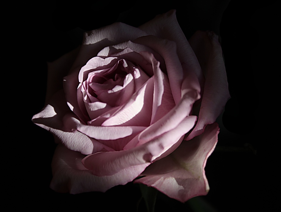 Friday | Caffeinated | Blipfoto