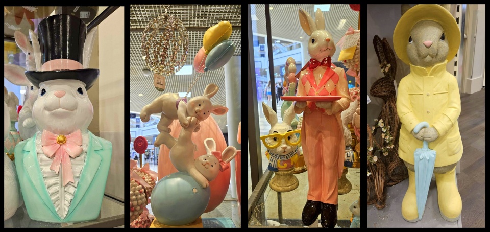 BUNNIES | dollydoug | Blipfoto