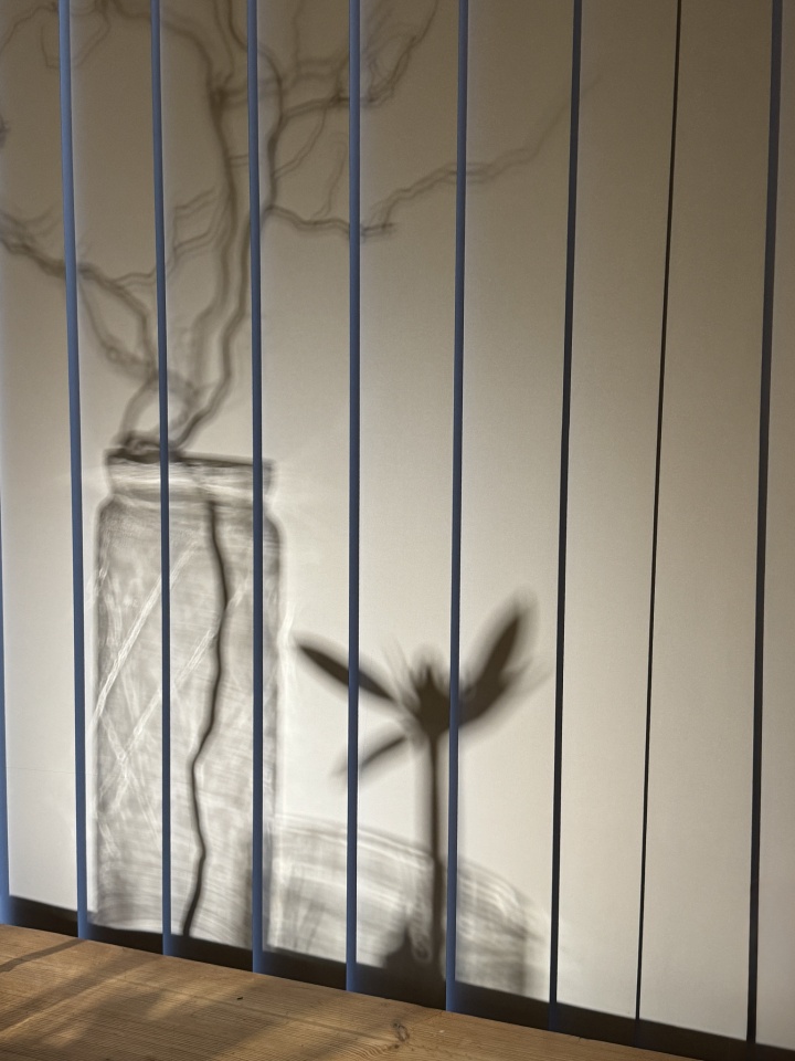 a very slow beginning and... | catoblips | Blipfoto