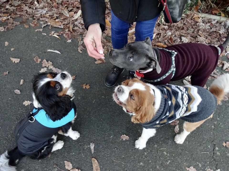 Wrapped up warm | Emsie | Blipfoto