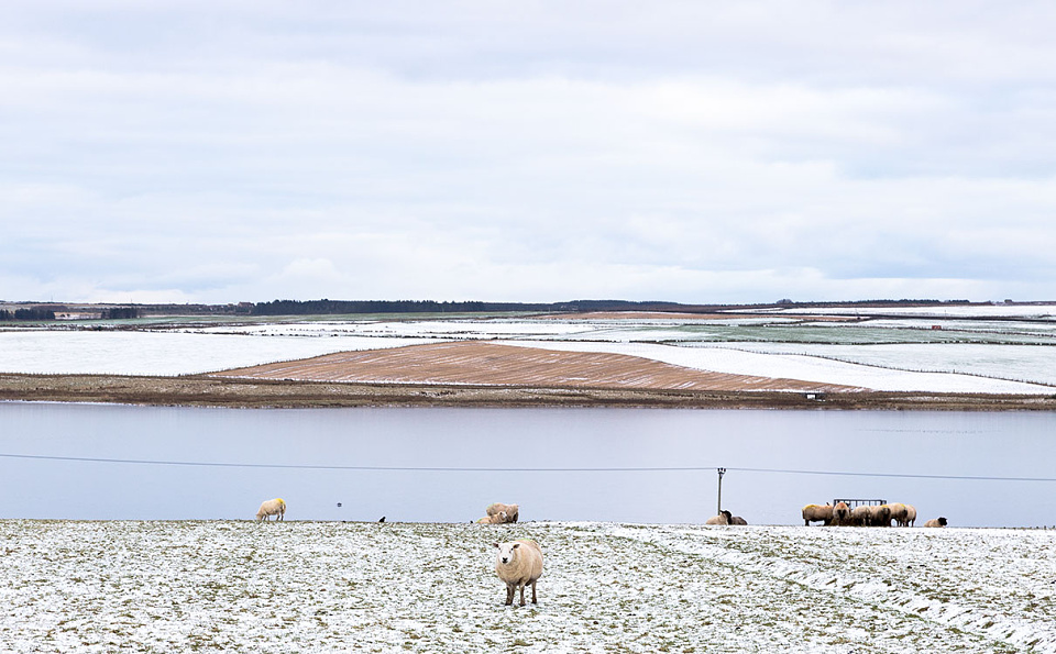 Loch Watten | MReid | Blipfoto